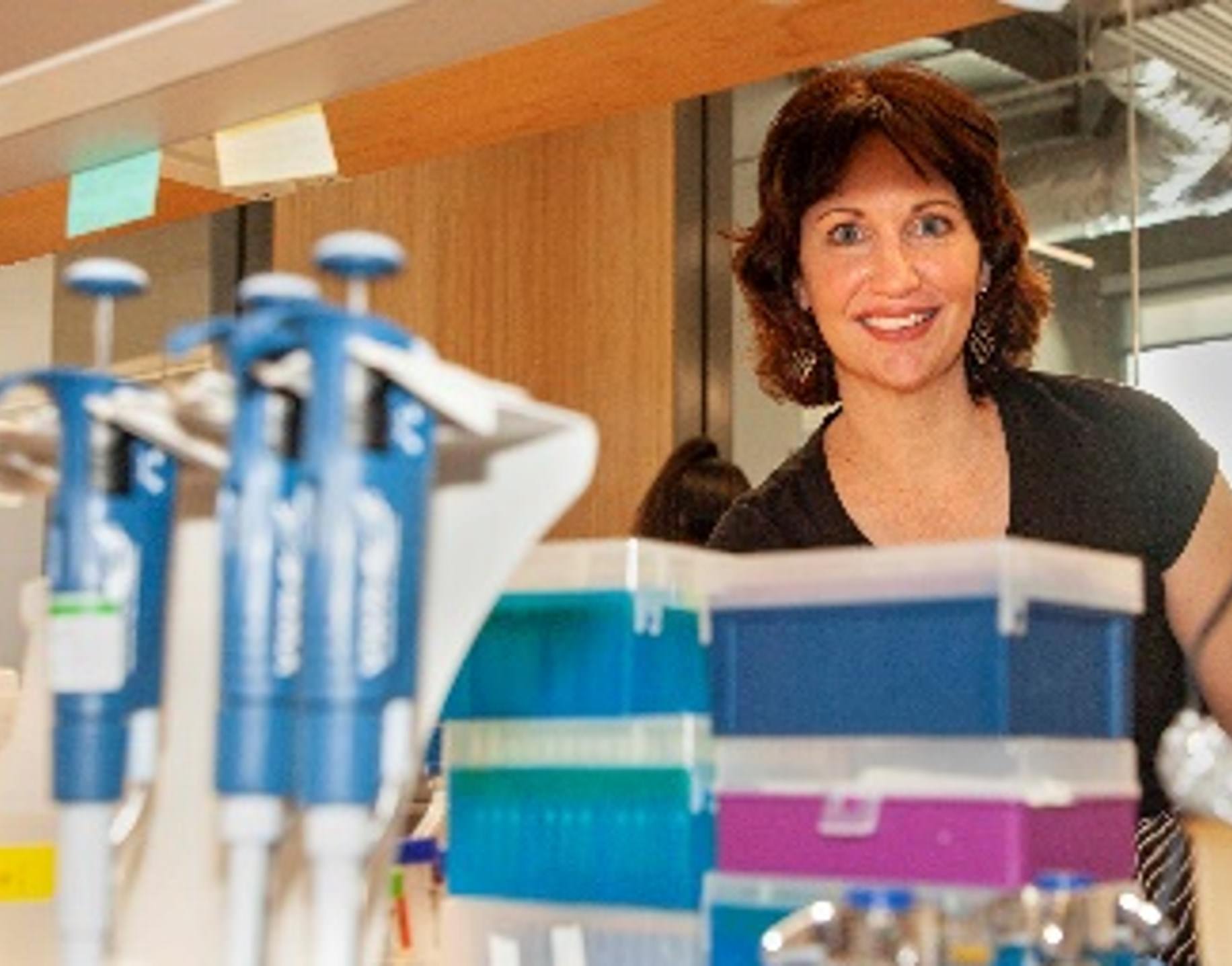 Meet the PAPAS team - Potatoes USA