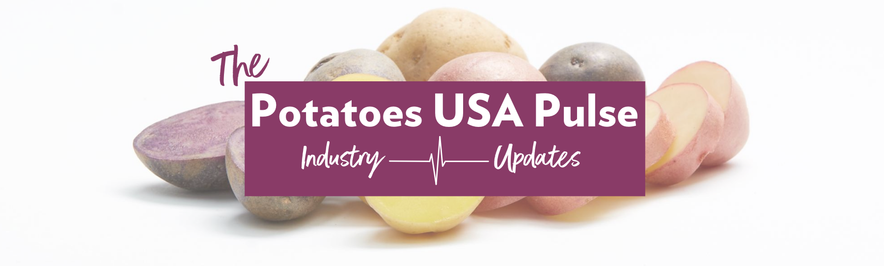 From pipeline to commercialization: The National Chip Program's impact on potato breeding ...